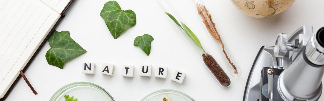 The best universities to study natural sciences in 2024